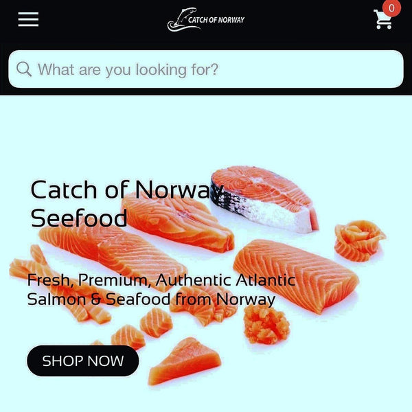 Catch of Norway Seafood