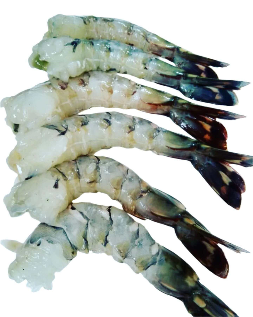 Large Tiger Prawns U10 - Fresh & Premium Quality – Catch of Norway Seafood